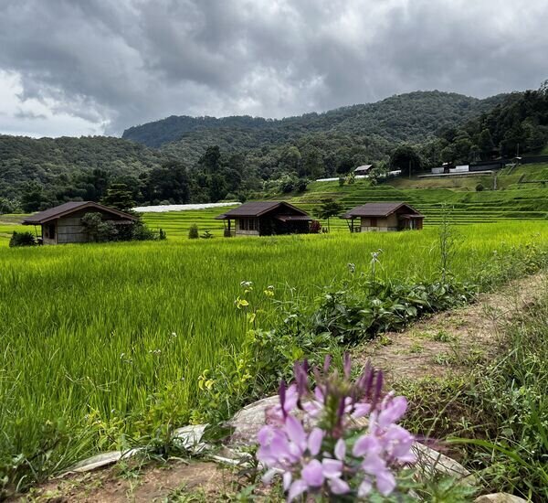 Chiang Mai Weather in October 2026: Things to Do, What to Wear